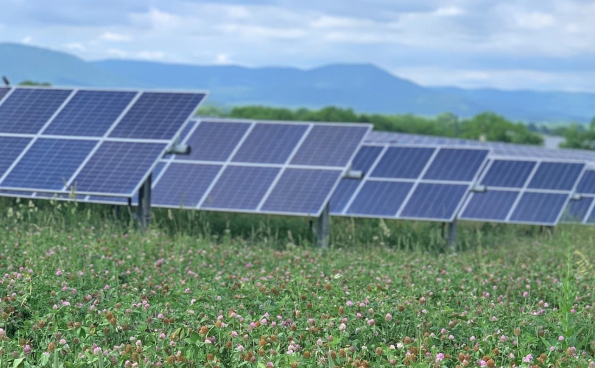 Lightsource bp Places Multi-Year Order for 4GW of First Solar Modules ...