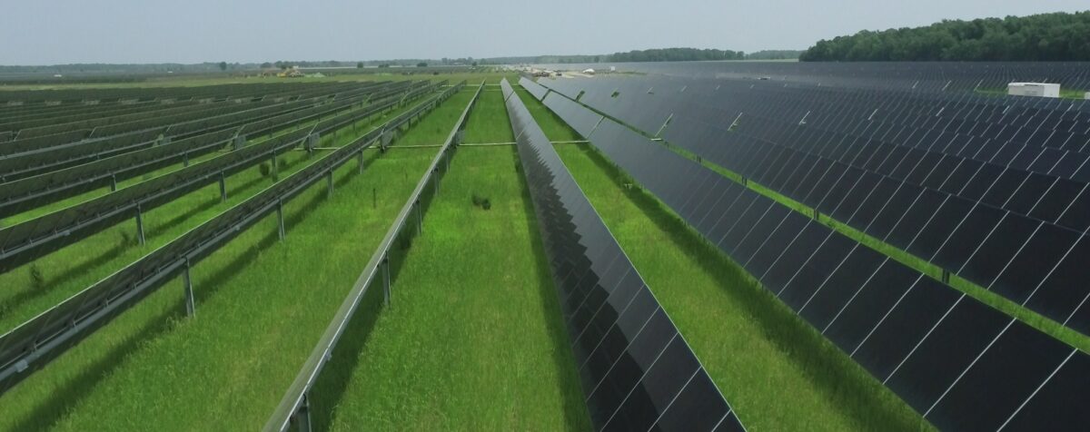 Utility-scale solar projects in the United States | Lightsource bp
