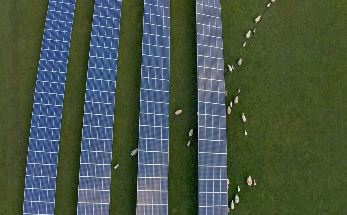 Lightsource Sponsors edie Explains Solar PPA Guide | Lightsource bp